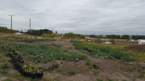 Grow Calgary gets the job done. | Cory Morgan ranting and raving